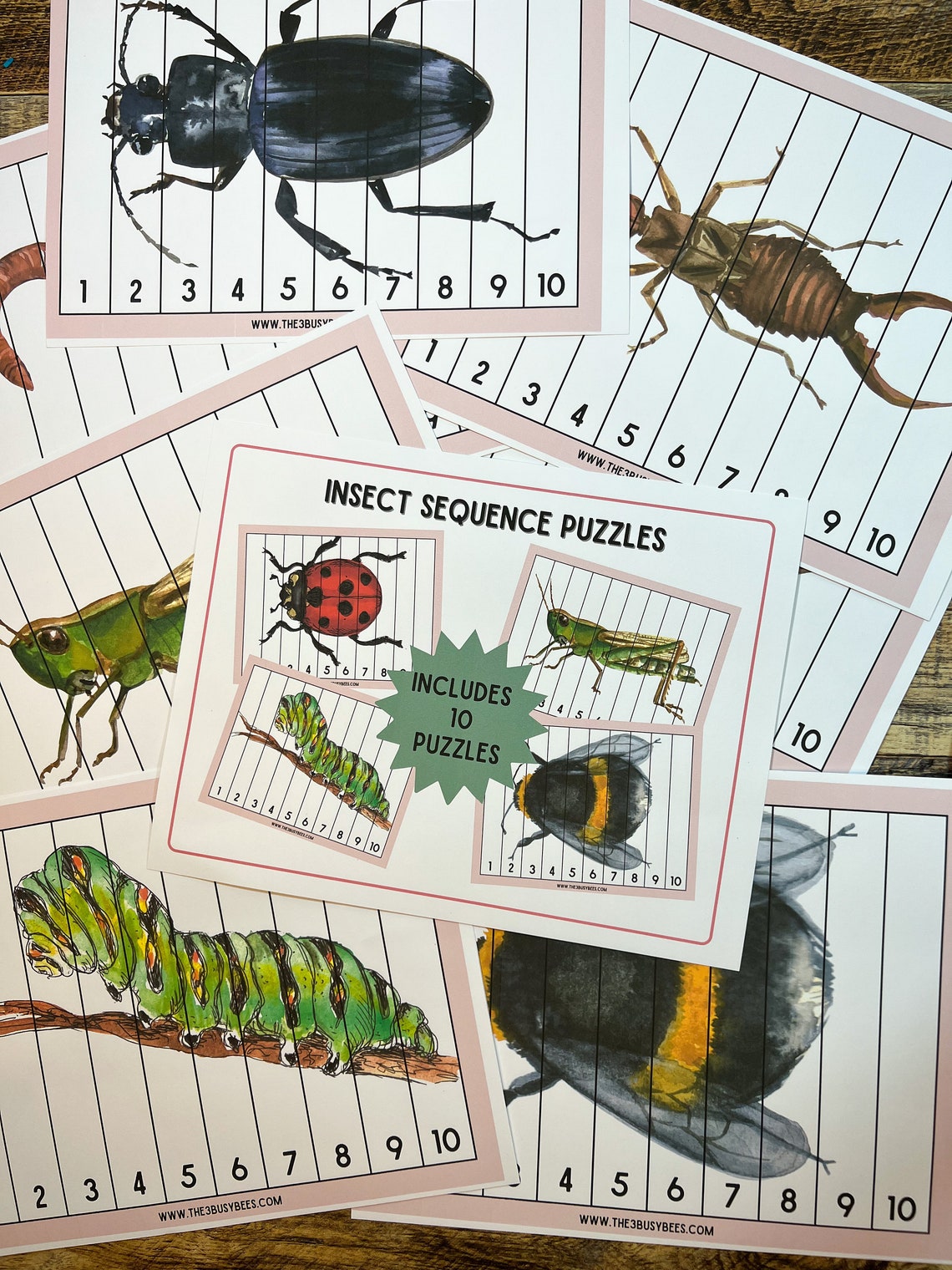 Insect Number Sequencing Puzzles Insect Learning Mini Beasts Printable ...