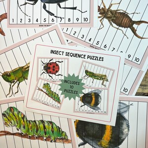 Insect Number Sequencing Puzzles • Insect Learning • Mini Beasts ...
