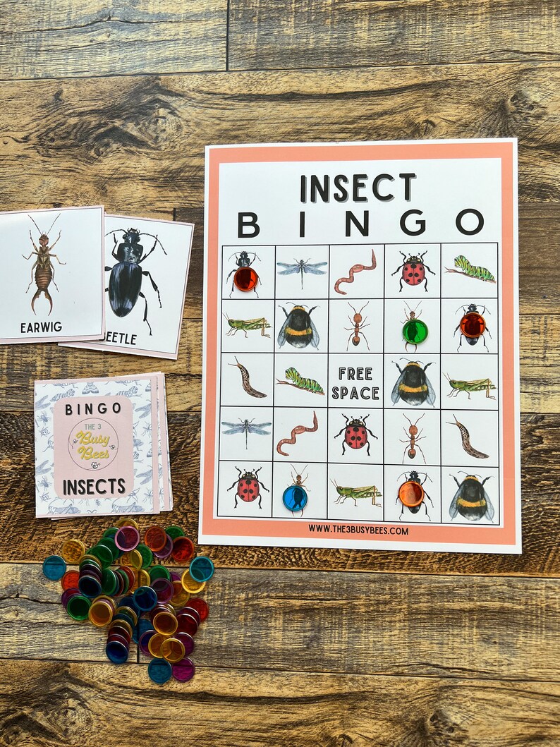 Insect Bingo Printable • Insect Learning • Mini Beasts Printable • Busy ...
