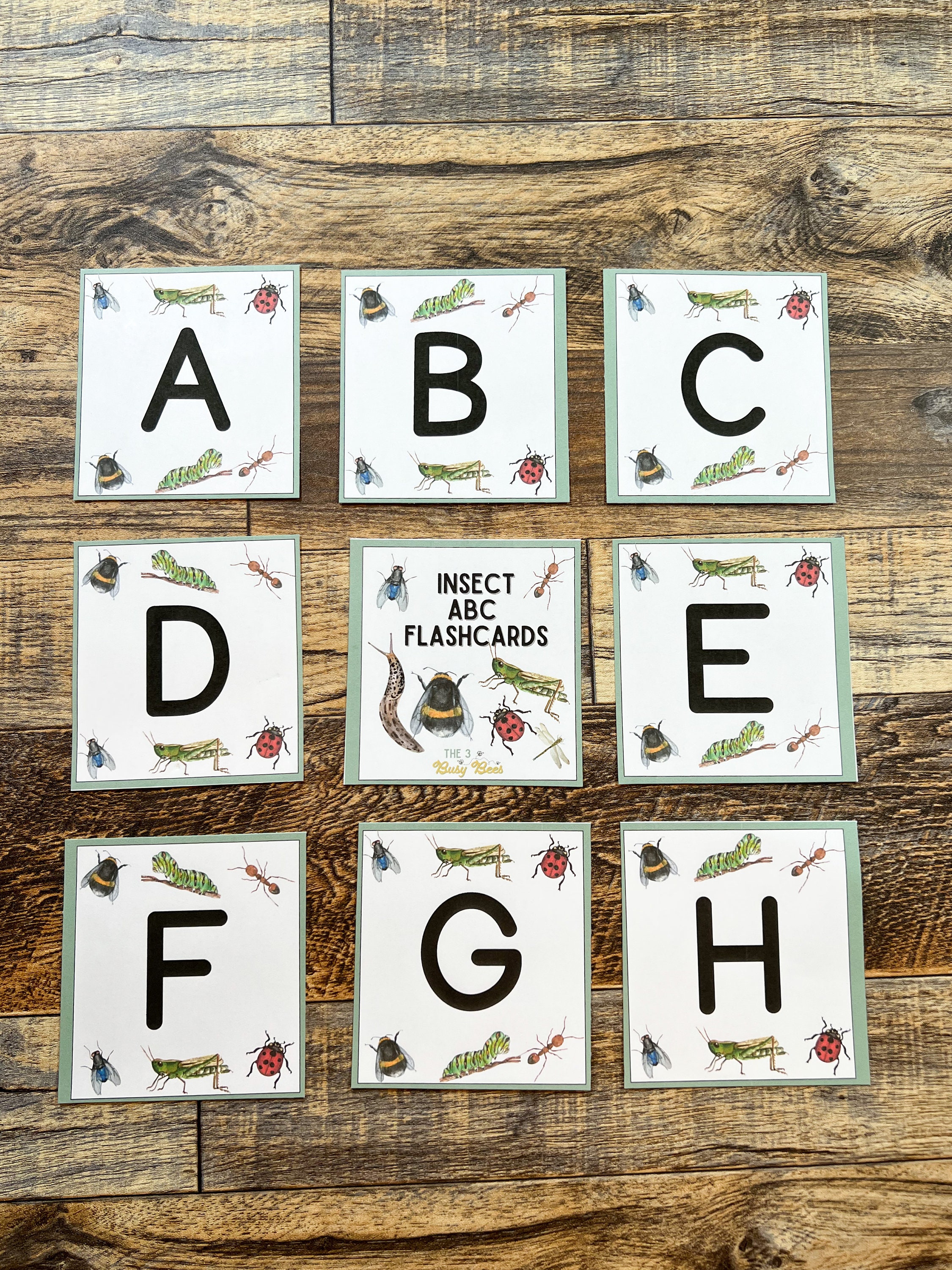 Insect ABC Flash Cards // Insect Bundle // Letter Learning - Etsy