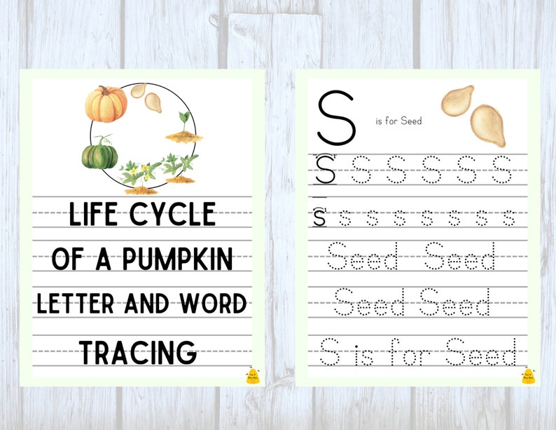 Life Cycle of a Pumpkin Letter and Word Tracing Worksheets / - Etsy