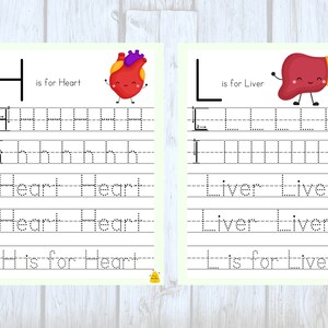 Human Anatomy Letter and Word Tracing Worksheet • Preschool Printable ...