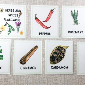 Herbs and Spices Flash Cards Printable • Preschool Printable • Crunchy ...