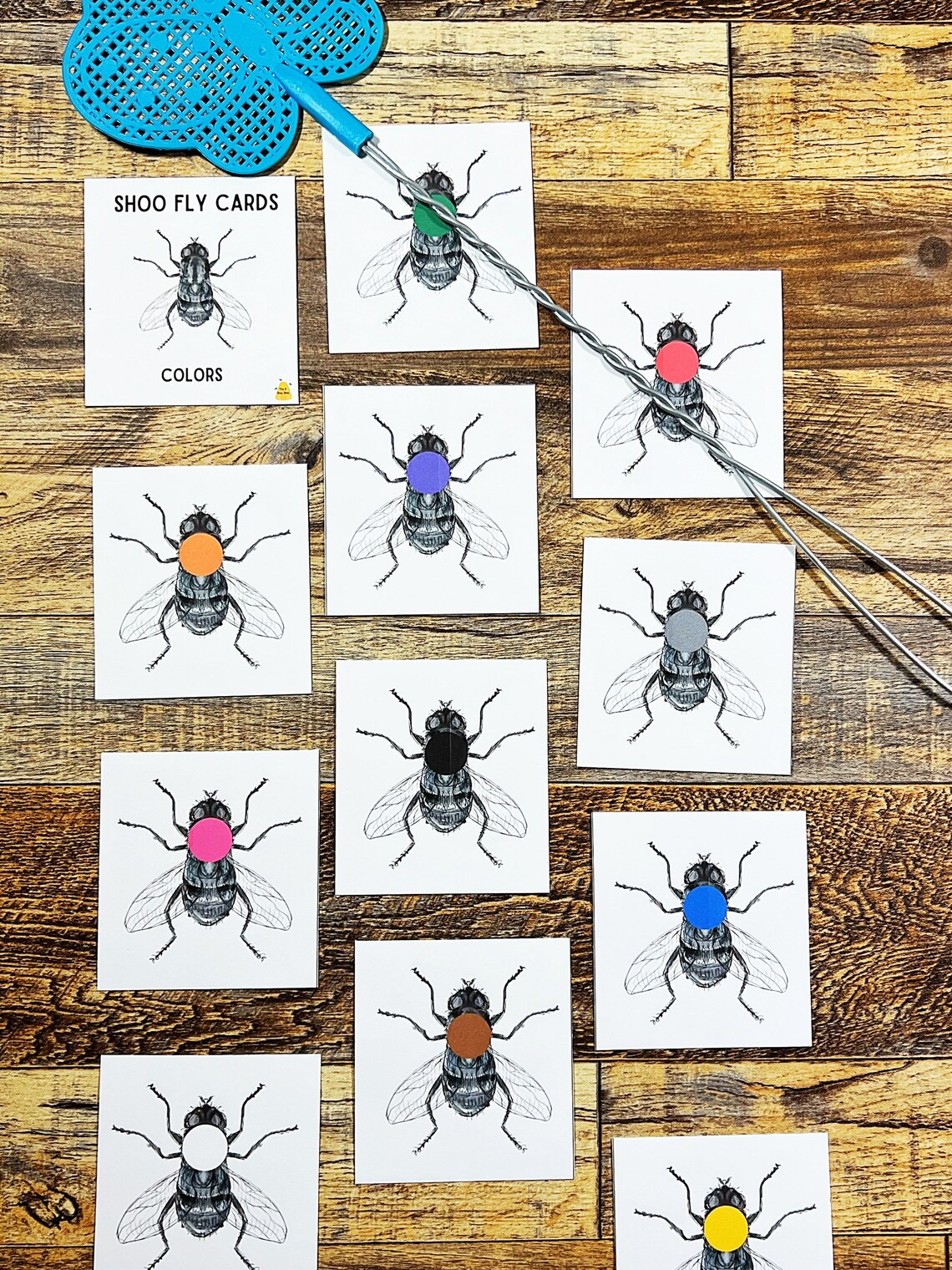 Shoo Fly Colors Flash Cards Printable • Preschool Printable • Color ...