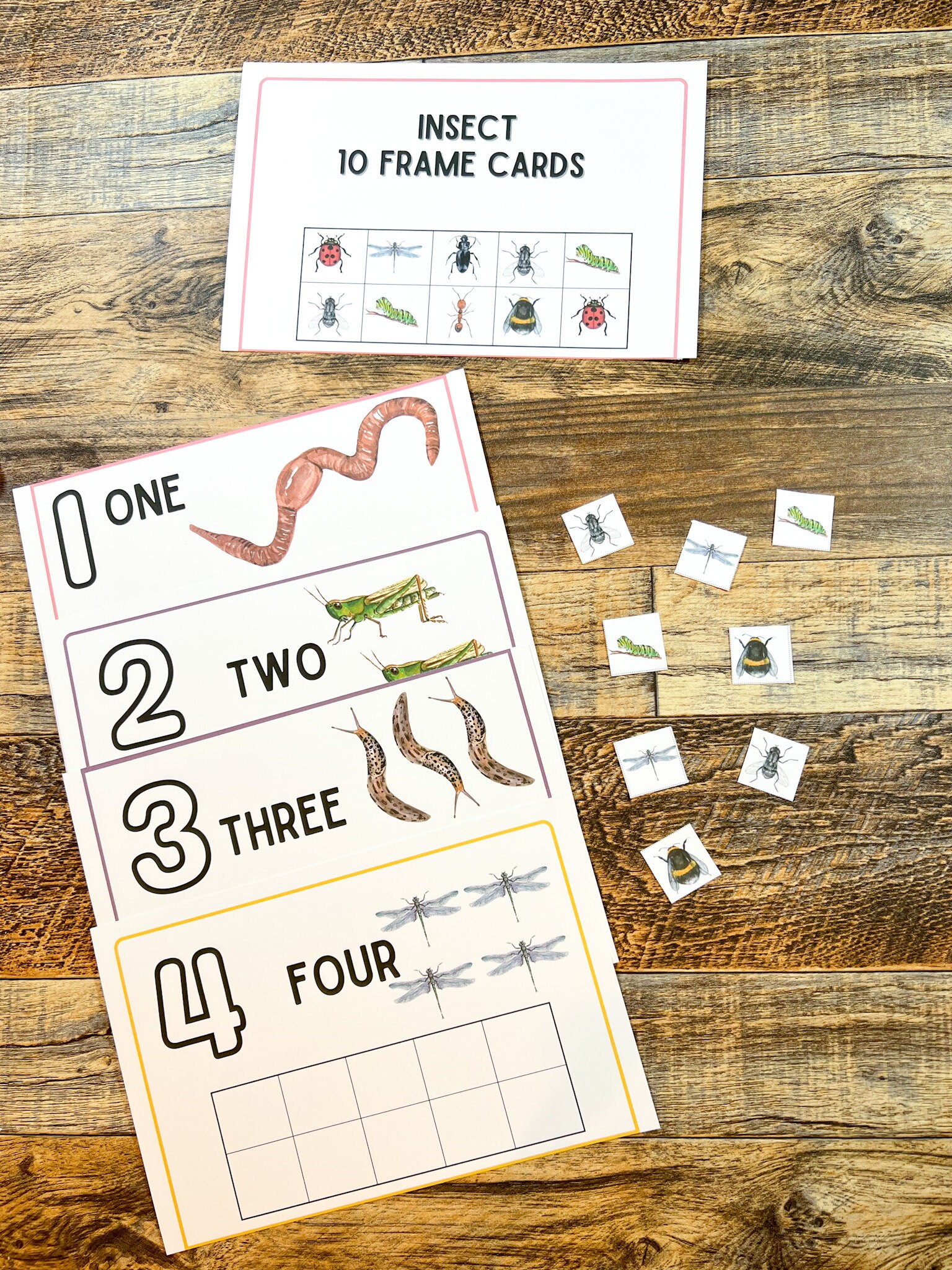 Insect 10 Frame Cards • Insect Learning • Mini Beasts Printable • 10 ...