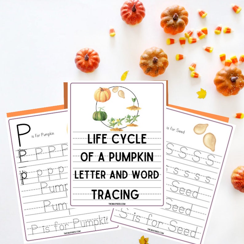 Life Cycle of a Pumpkin Letter and Word Tracing Worksheets / Fall ...