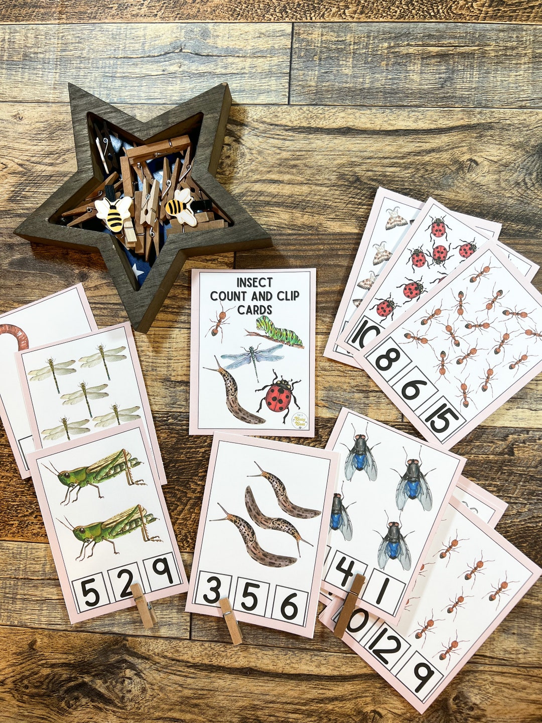 Insect Count and Clip Printable • Clothespin Match Activity - Etsy