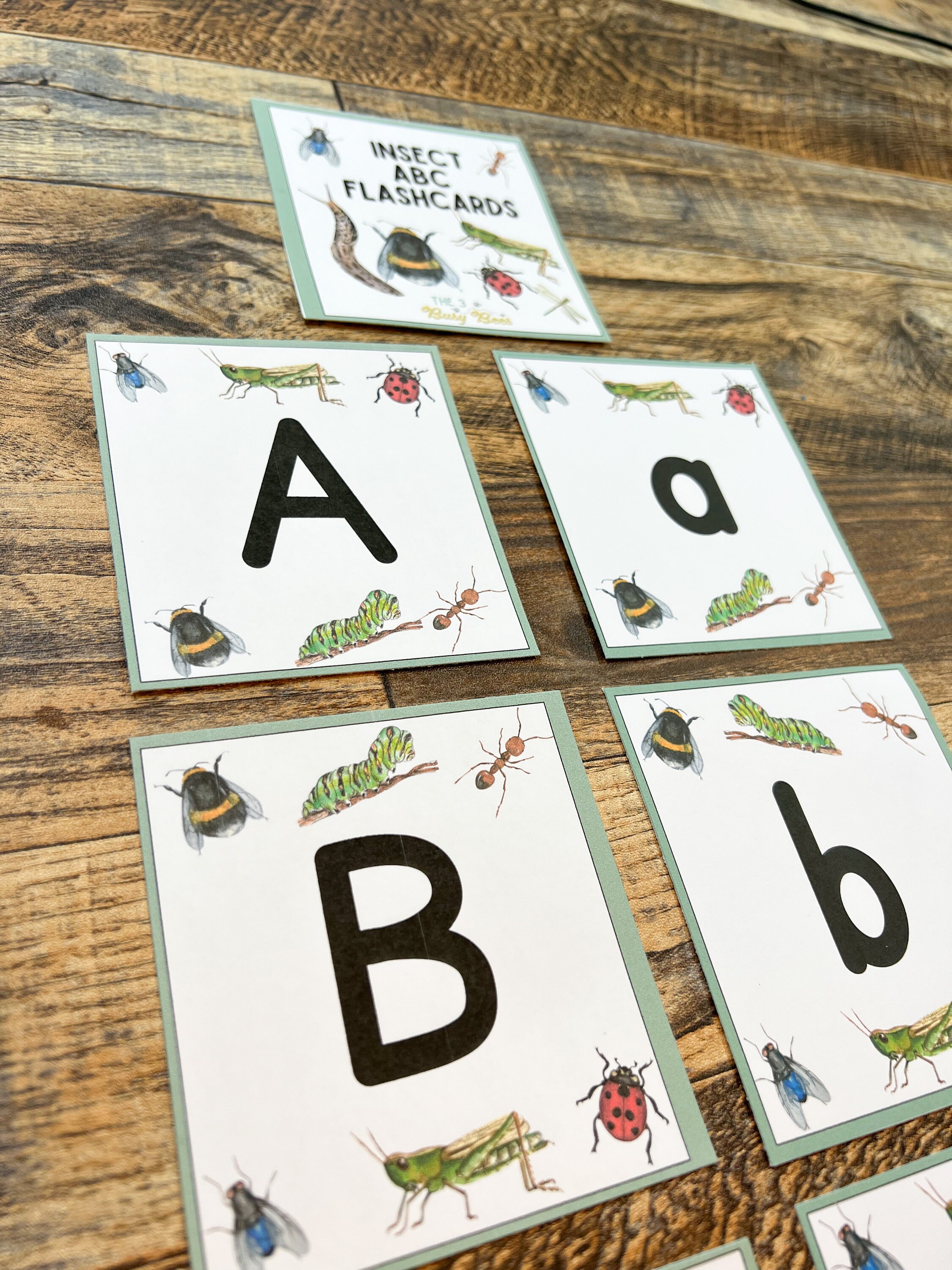 Insect ABC Flash Cards // Insect Bundle // Letter Learning - Etsy