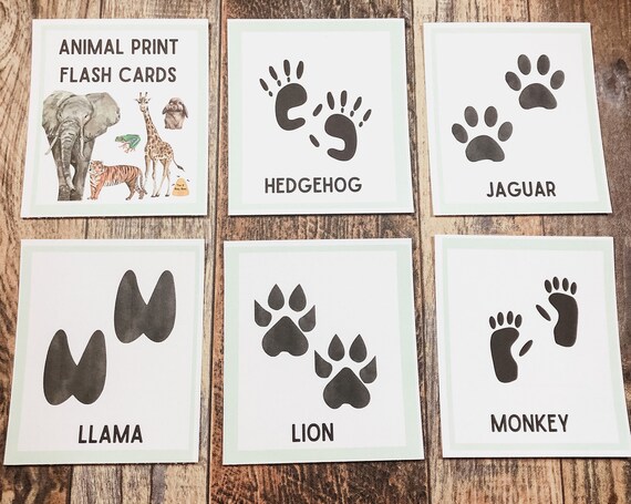 Animal Print Flash Cards Montessori Printable Educational - Etsy