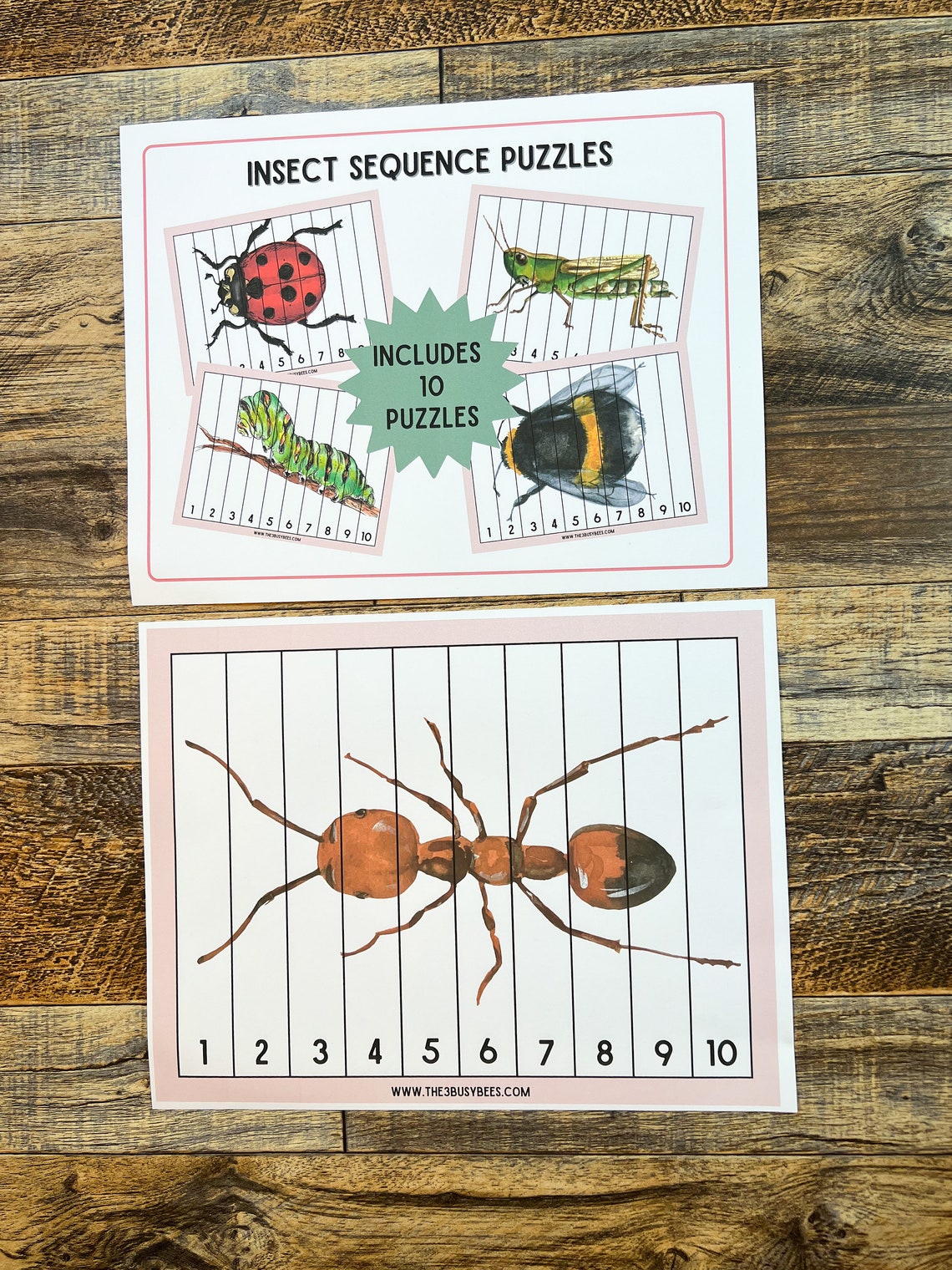 Insect Number Sequencing Puzzles Insect Learning Mini Beasts Printable ...