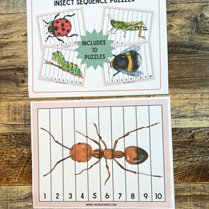 Insect Number Sequencing Puzzles • Insect Learning • Mini Beasts ...