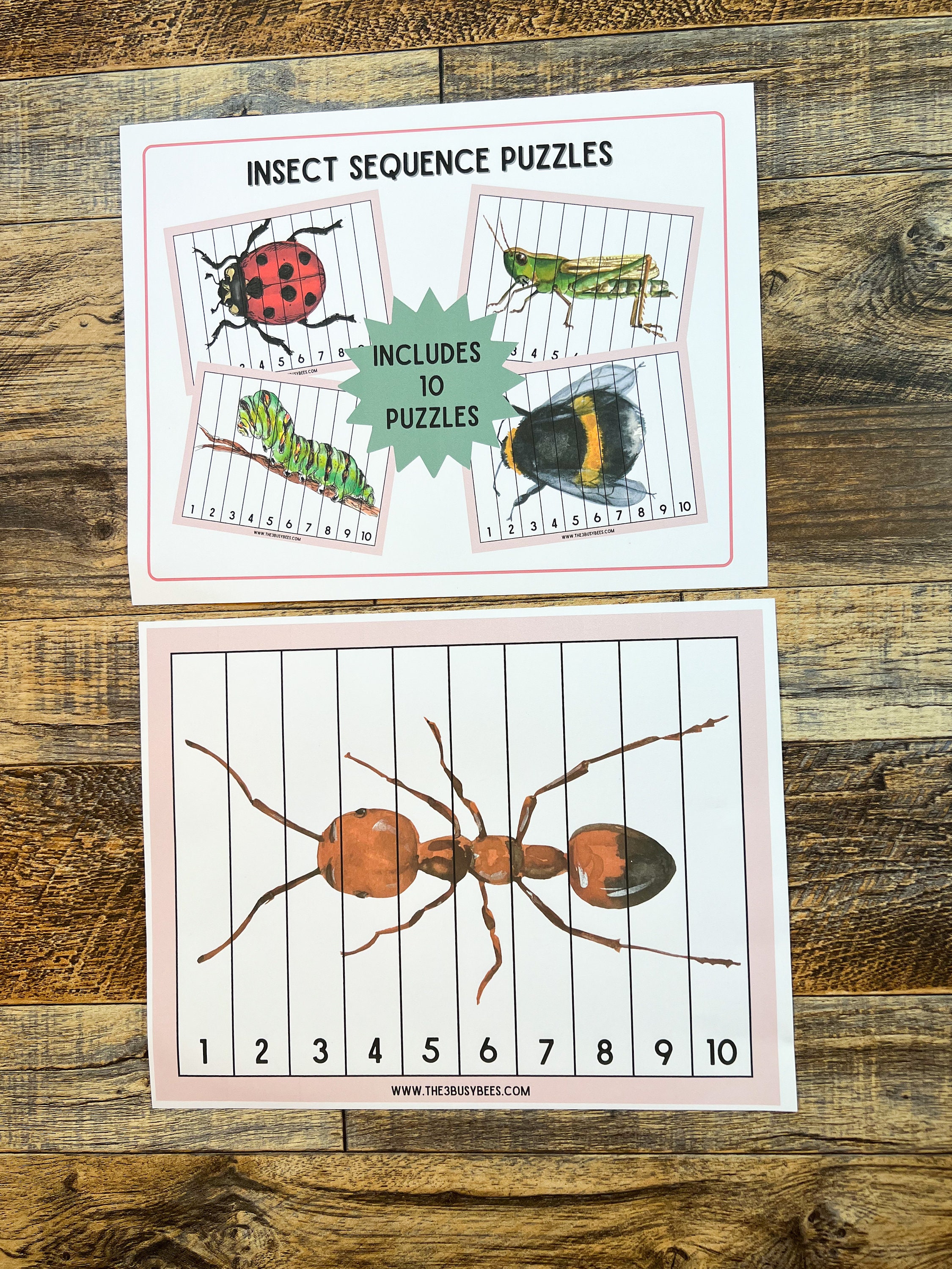 Insect Number Sequencing Puzzles Insect Learning Mini Beasts Printable ...