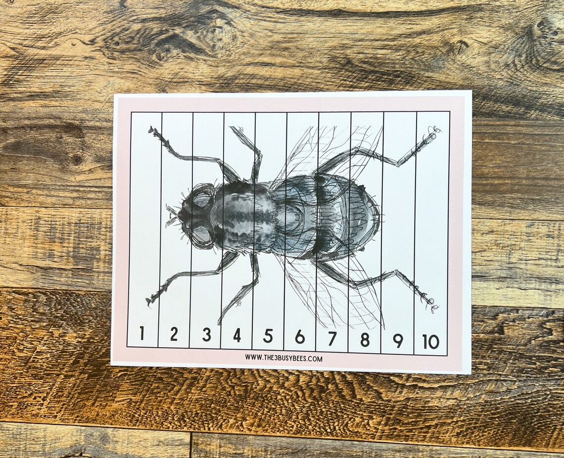 Insect Number Sequencing Puzzles Insect Learning Mini Beasts Printable ...