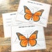 Anatomy of a Butterfly • Montessori Printable • Butterfly Study • Busy ...