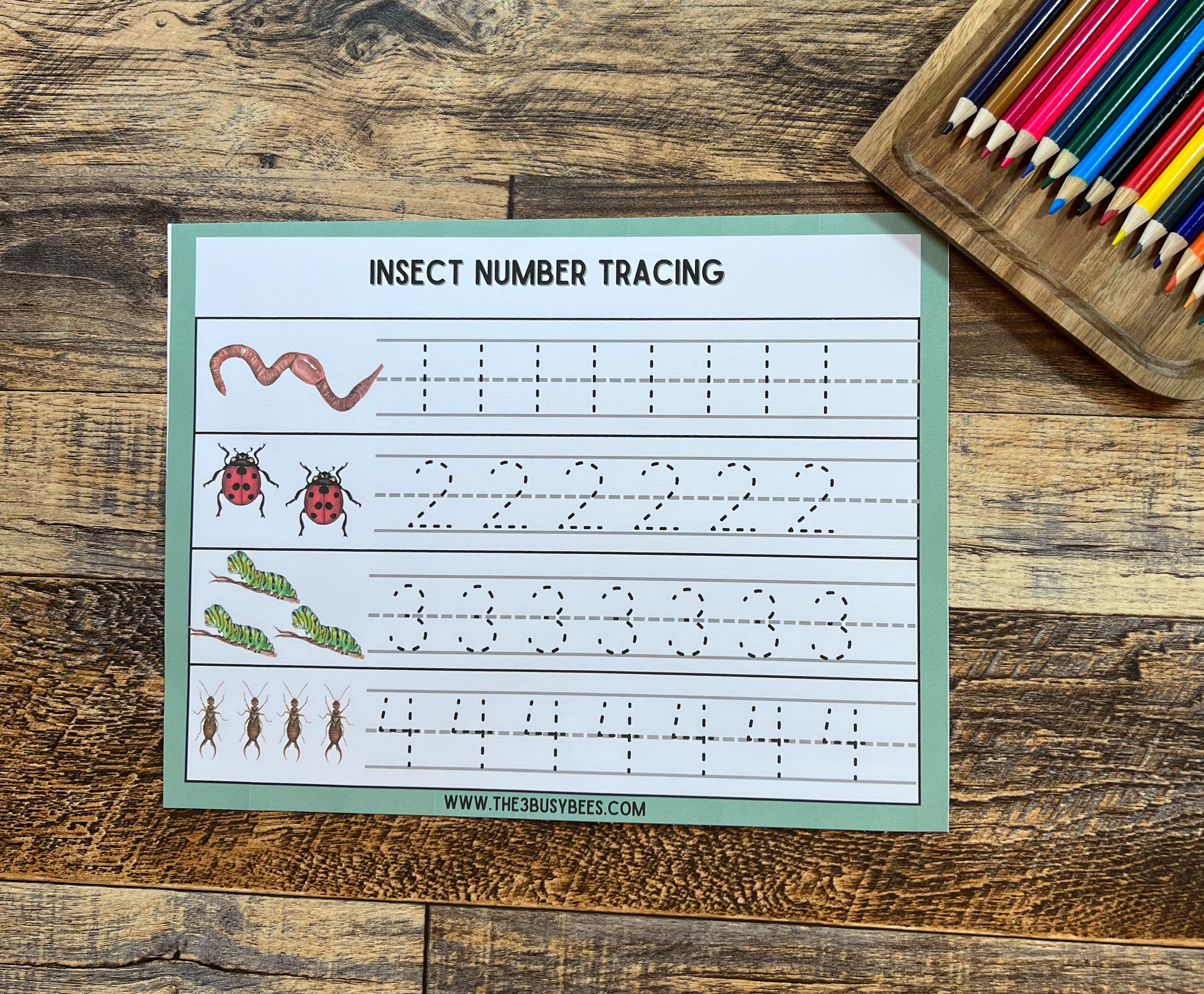 Insect Number Tracing Worksheet Insect Learning Mini Beasts Printable ...