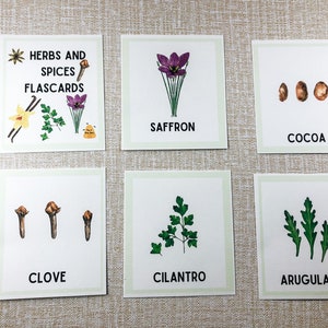 Herbs and Spices Flash Cards Printable • Preschool Printable • Crunchy ...