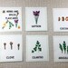 Herbs and Spices Flash Cards Printable • Preschool Printable • Crunchy ...