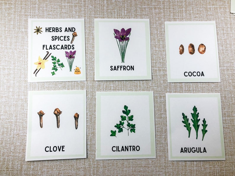 Herbs and Spices Flash Cards Printable • Preschool Printable • Crunchy ...