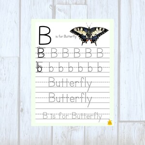 Life Cycle of a Butterfly Letter and Word Tracing Montessori - Etsy