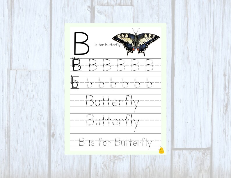 Life Cycle of a Butterfly Letter and Word Tracing Montessori - Etsy