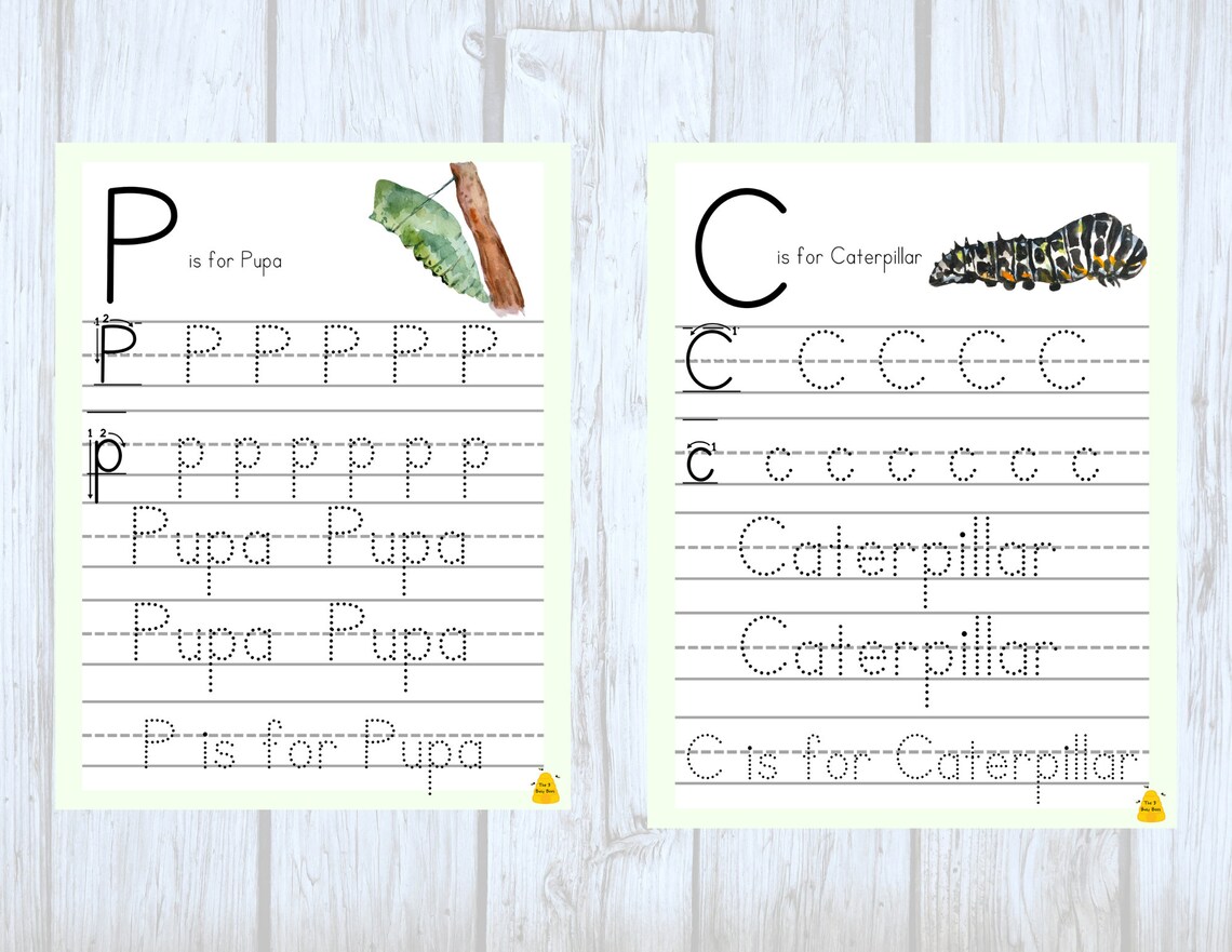 Life Cycle of a Butterfly Letter and Word Tracing Montessori - Etsy