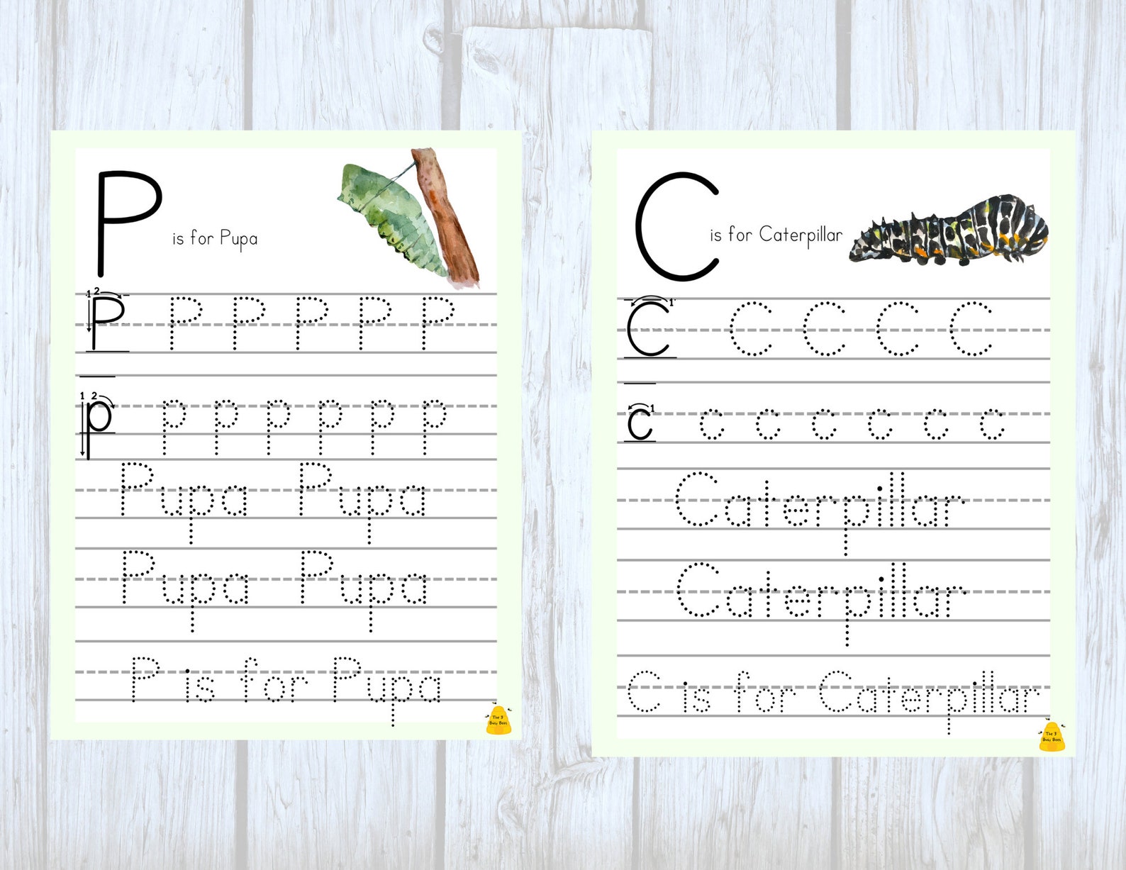Life Cycle of a Butterfly Letter and Word Tracing Montessori - Etsy