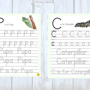 Life Cycle of a Butterfly Letter and Word Tracing Montessori - Etsy