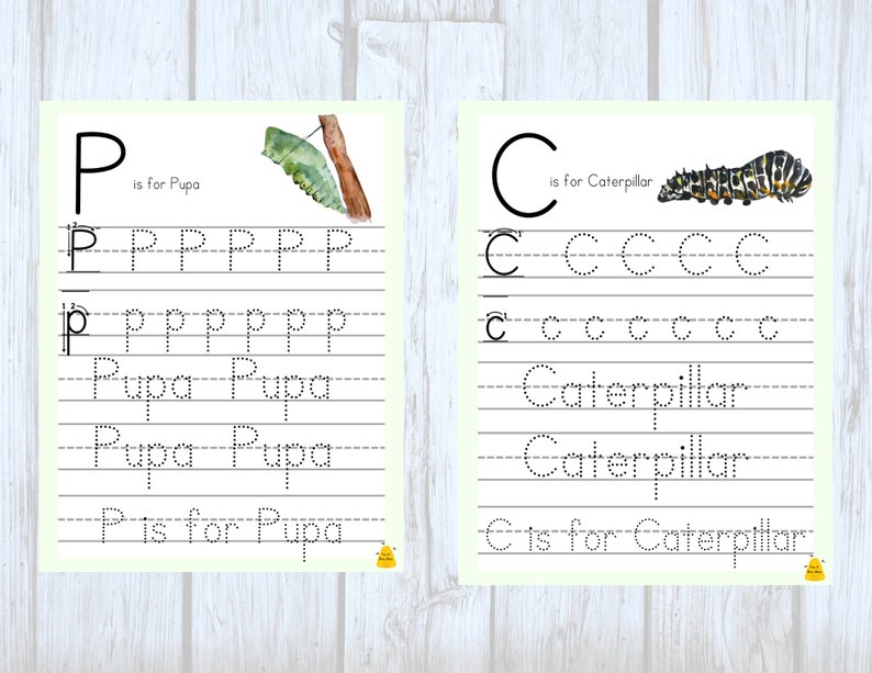 Life Cycle of a Butterfly Letter and Word Tracing Montessori - Etsy