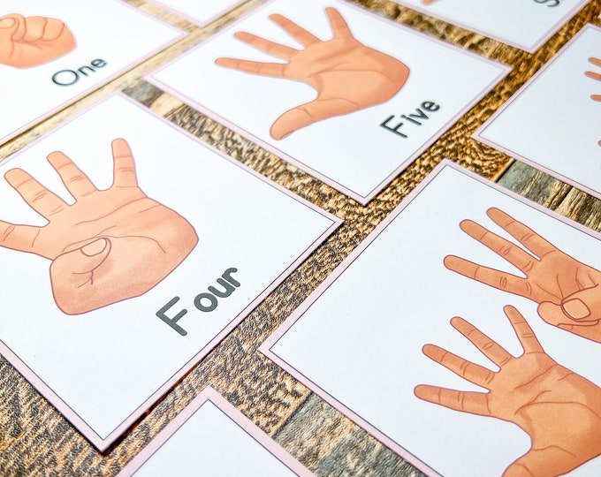 Noahs Ark Animal Matching Printable • Montessori Printable ...