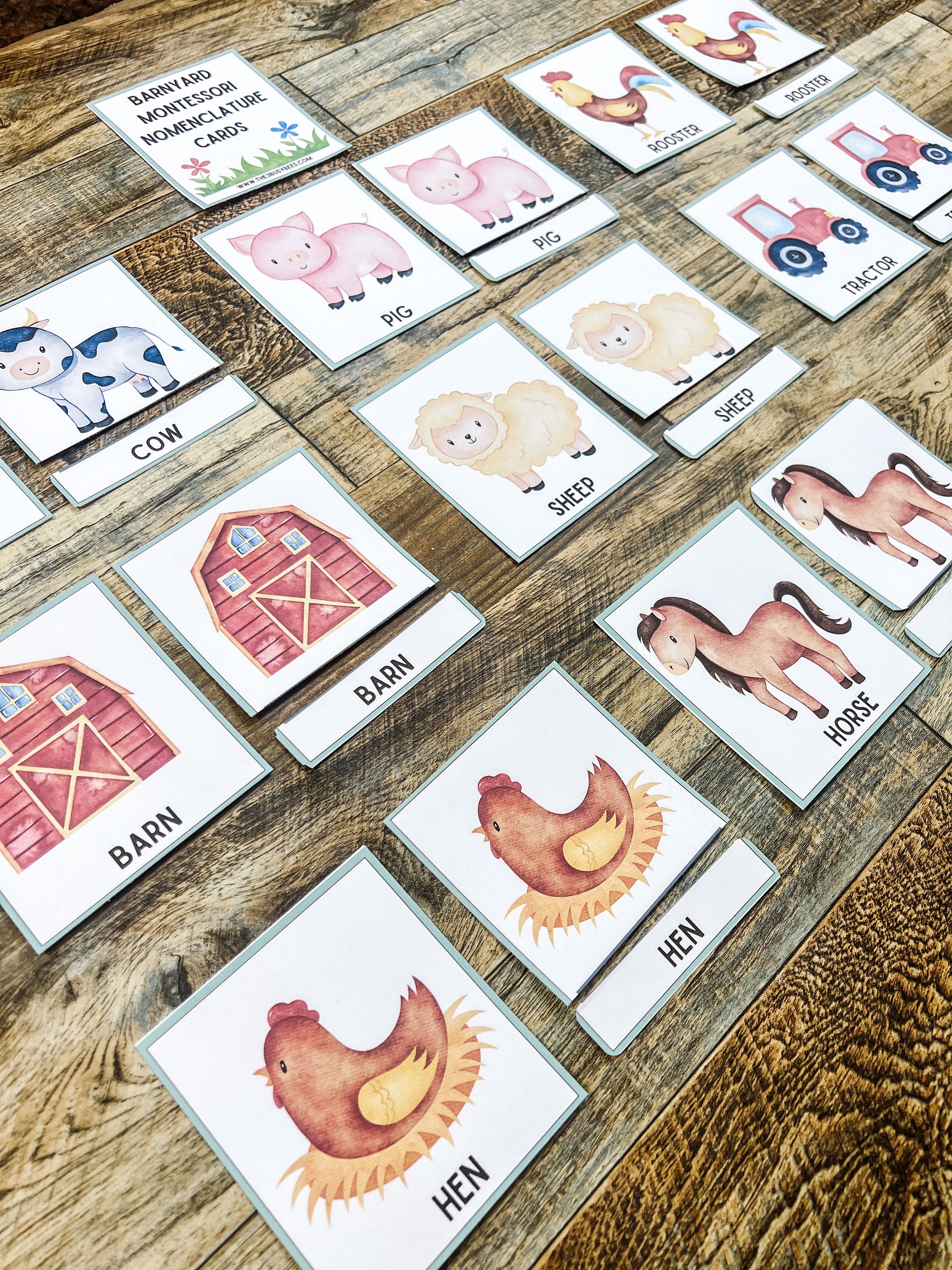 Barnyard Nomenclature Cards Preschool Printable 3 Part Cards Montessori ...