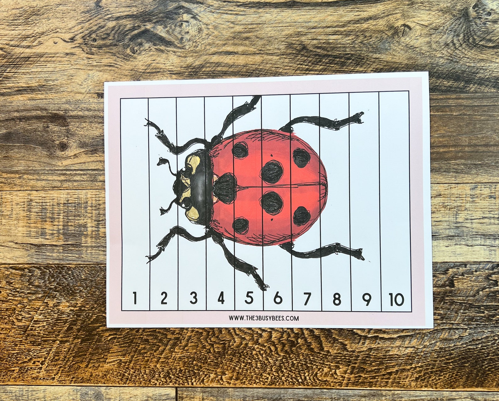 Insect Number Sequencing Puzzles • Insect Learning • Mini Beasts ...