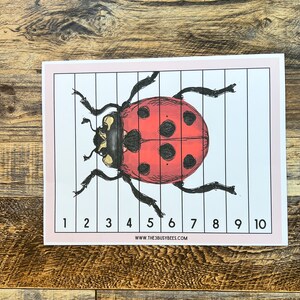 Insect Number Sequencing Puzzles • Insect Learning • Mini Beasts ...