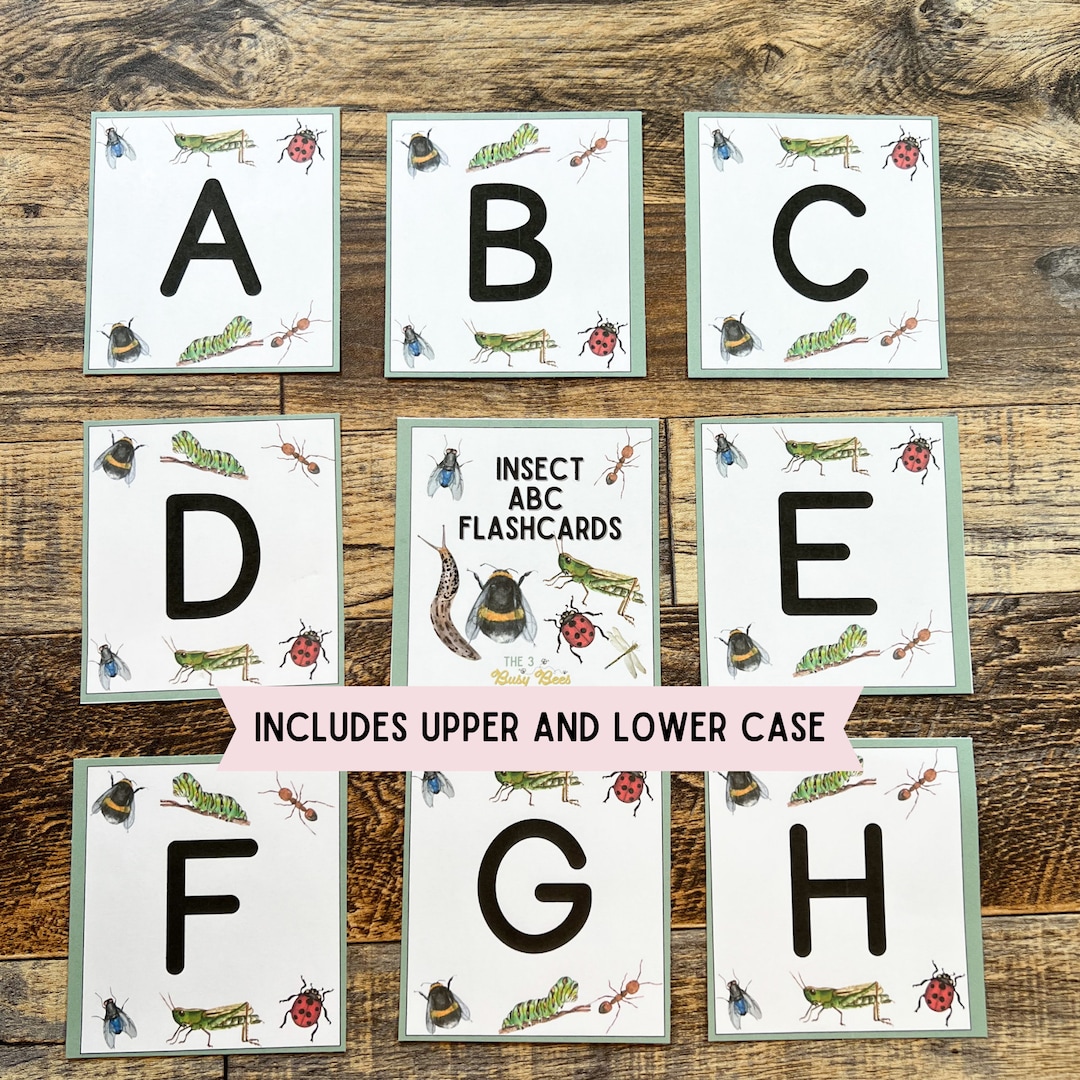Insect ABC Flash Cards // Insect Bundle // Letter Learning - Etsy