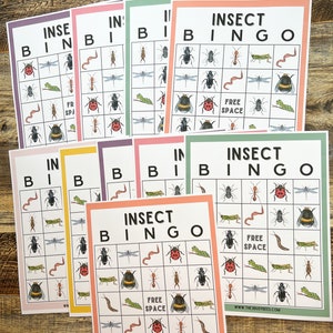 Insect Bingo Printable • Insect Learning • Mini Beasts Printable • Busy ...
