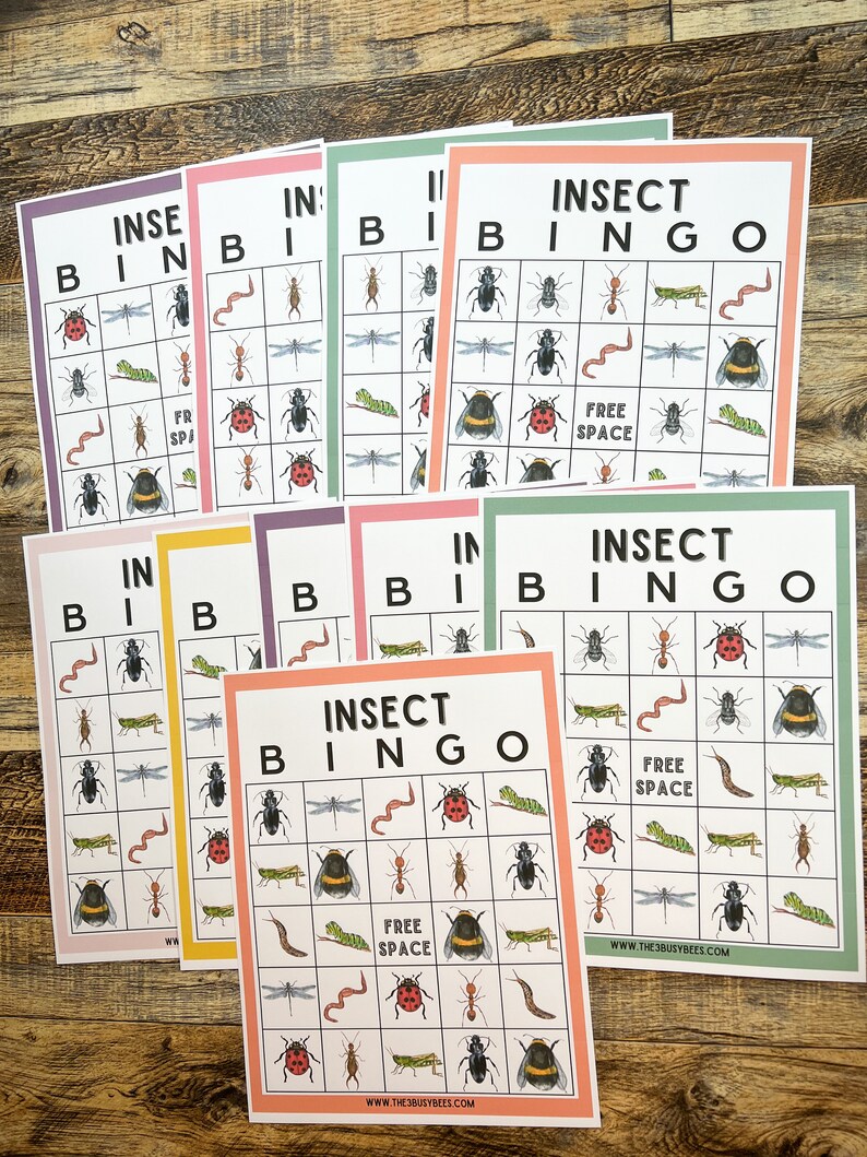 Insect Bingo Printable • Insect Learning • Mini Beasts Printable • Busy ...