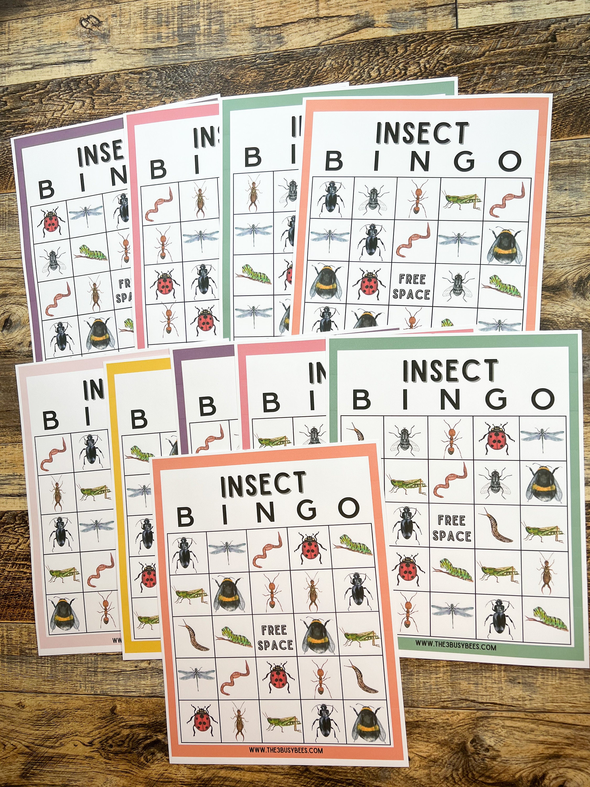 Insect Bingo Printable • Insect Learning • Mini Beasts Printable • Busy ...
