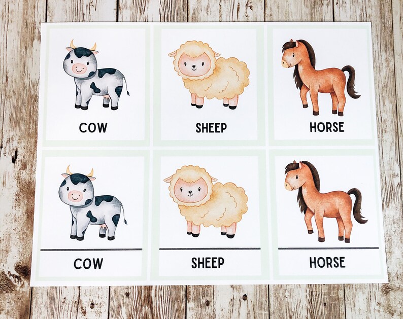 Barnyard Nomenclature Cards Preschool Printable 3 Part | Etsy