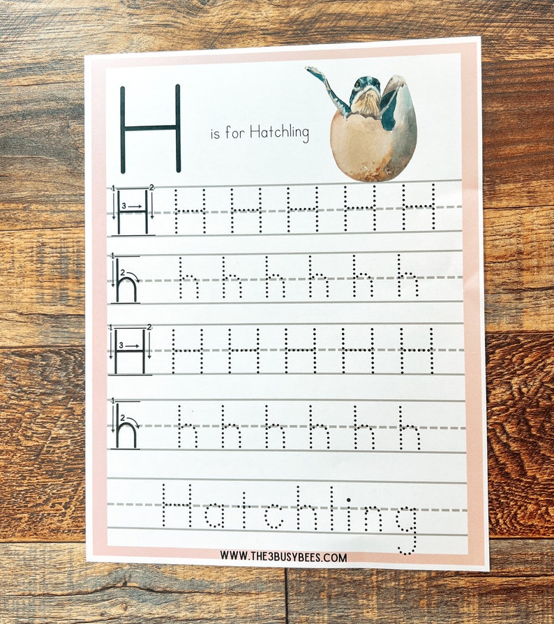 Life Cycle of a Sea Turtle Letter and Word Tracing / Handwriting ...