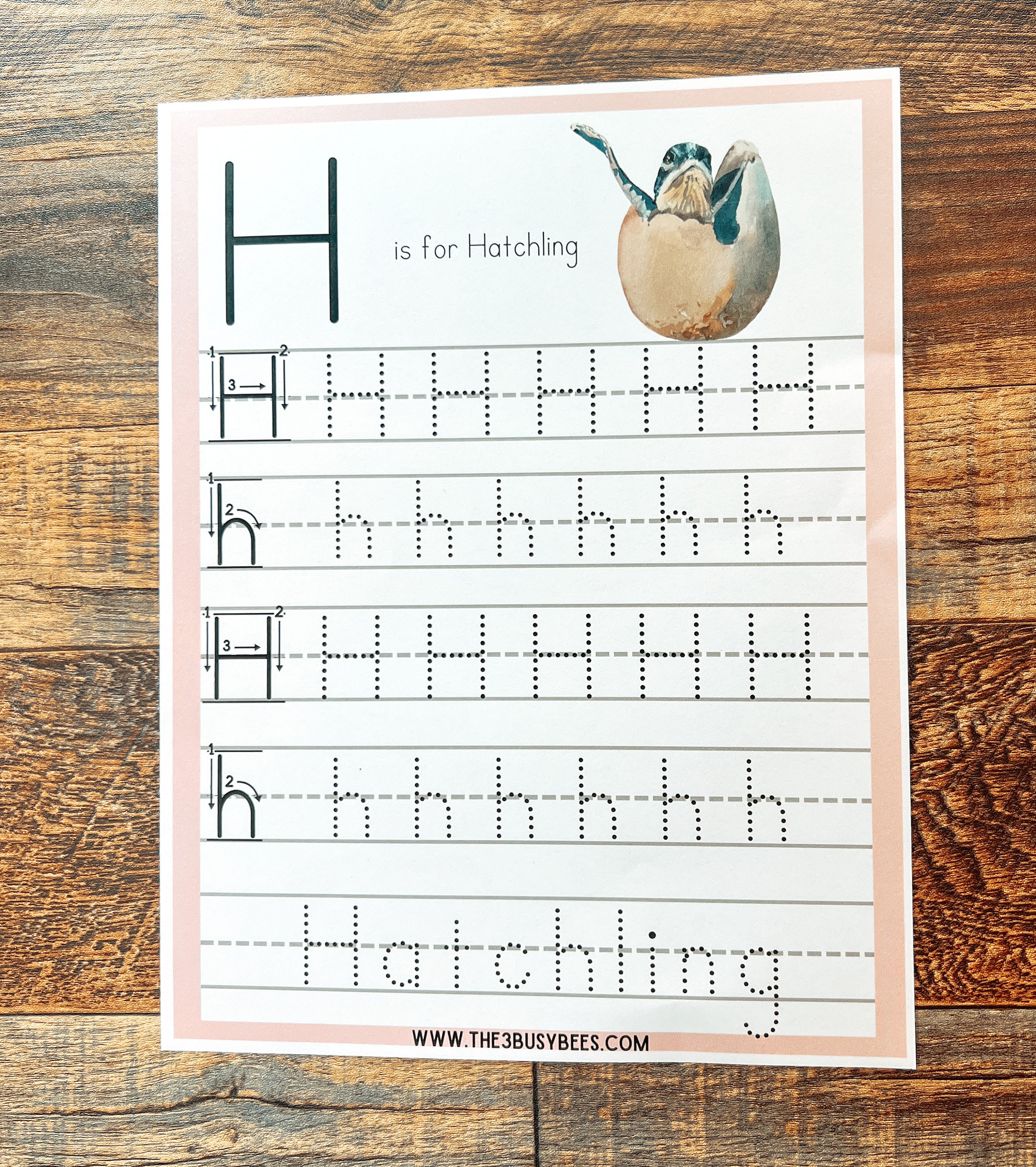 Life Cycle of a Sea Turtle Letter and Word Tracing / Handwriting ...