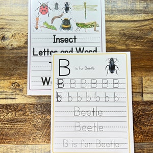 Insect Letter Tracing Worksheet • Insect Learning • Mini Beasts ...
