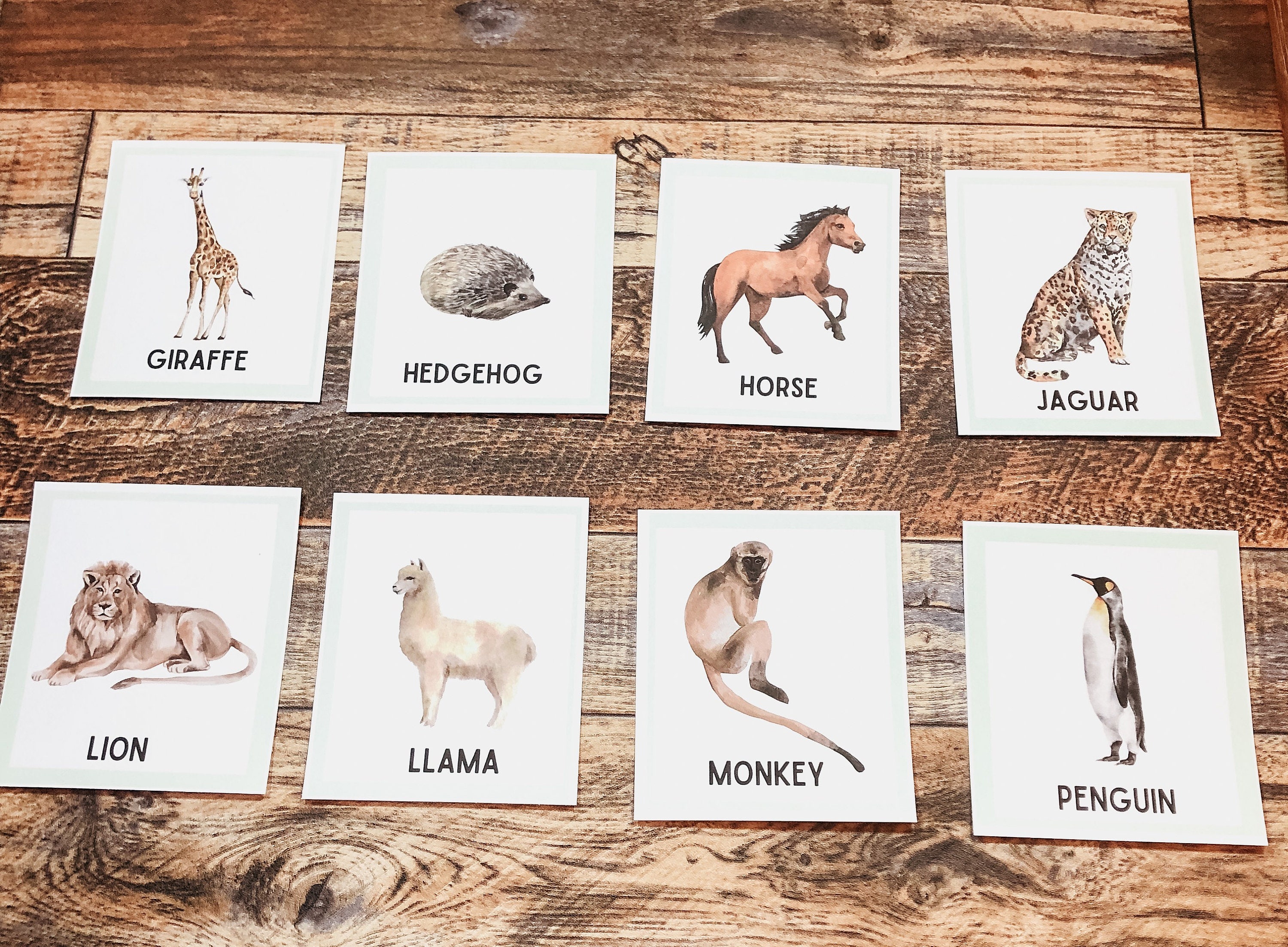 Animal Flash Cards • Montessori Printable • Educational Material • - Etsy