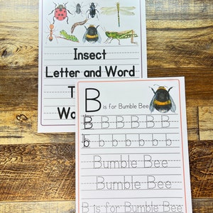 Insect Letter Tracing Worksheet • Insect Learning • Mini Beasts ...
