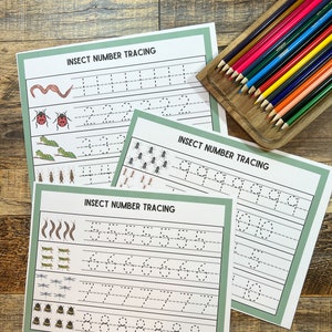 Insect Number Tracing Worksheet • Insect Learning • Mini Beasts ...