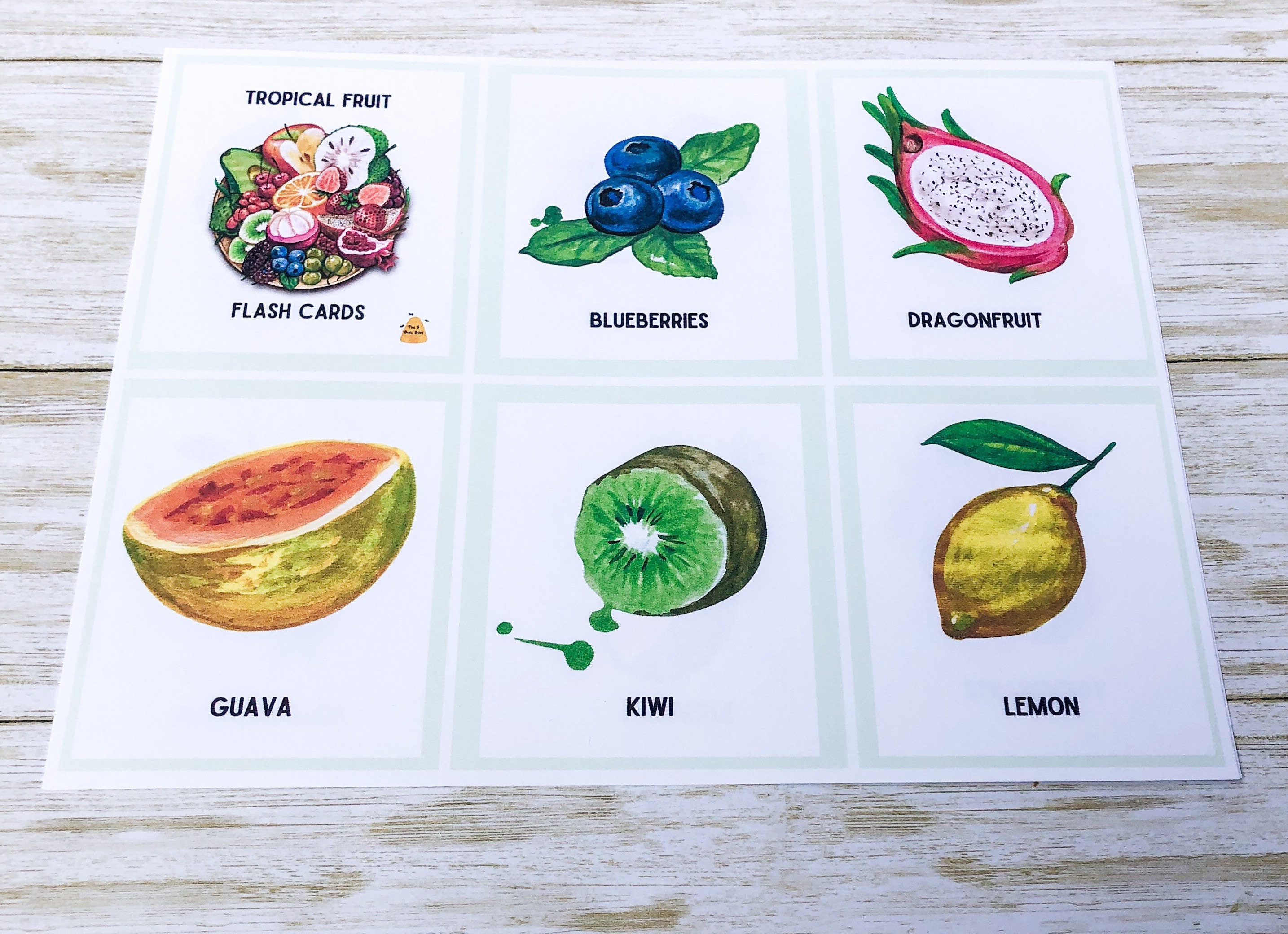 Tropical Fruit Flash Cards Montessori Printable - Etsy