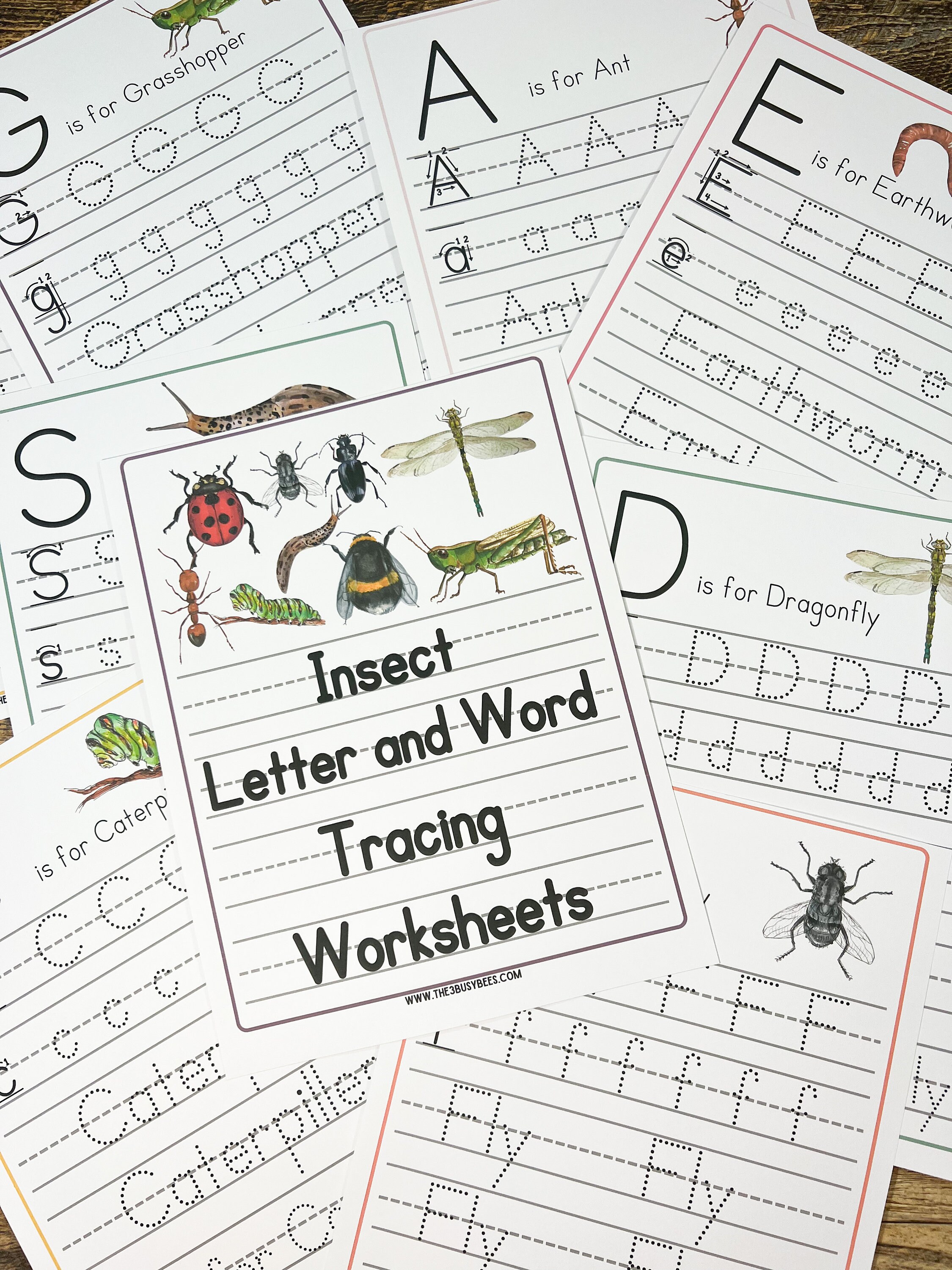Insect Letter Tracing Worksheet • Insect Learning • Mini Beasts ...