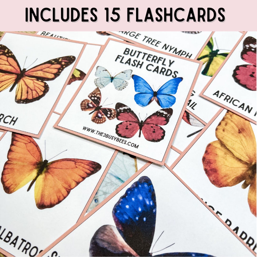 Butterfly Flashcards // Types of Butterflies Flash Cards - Etsy