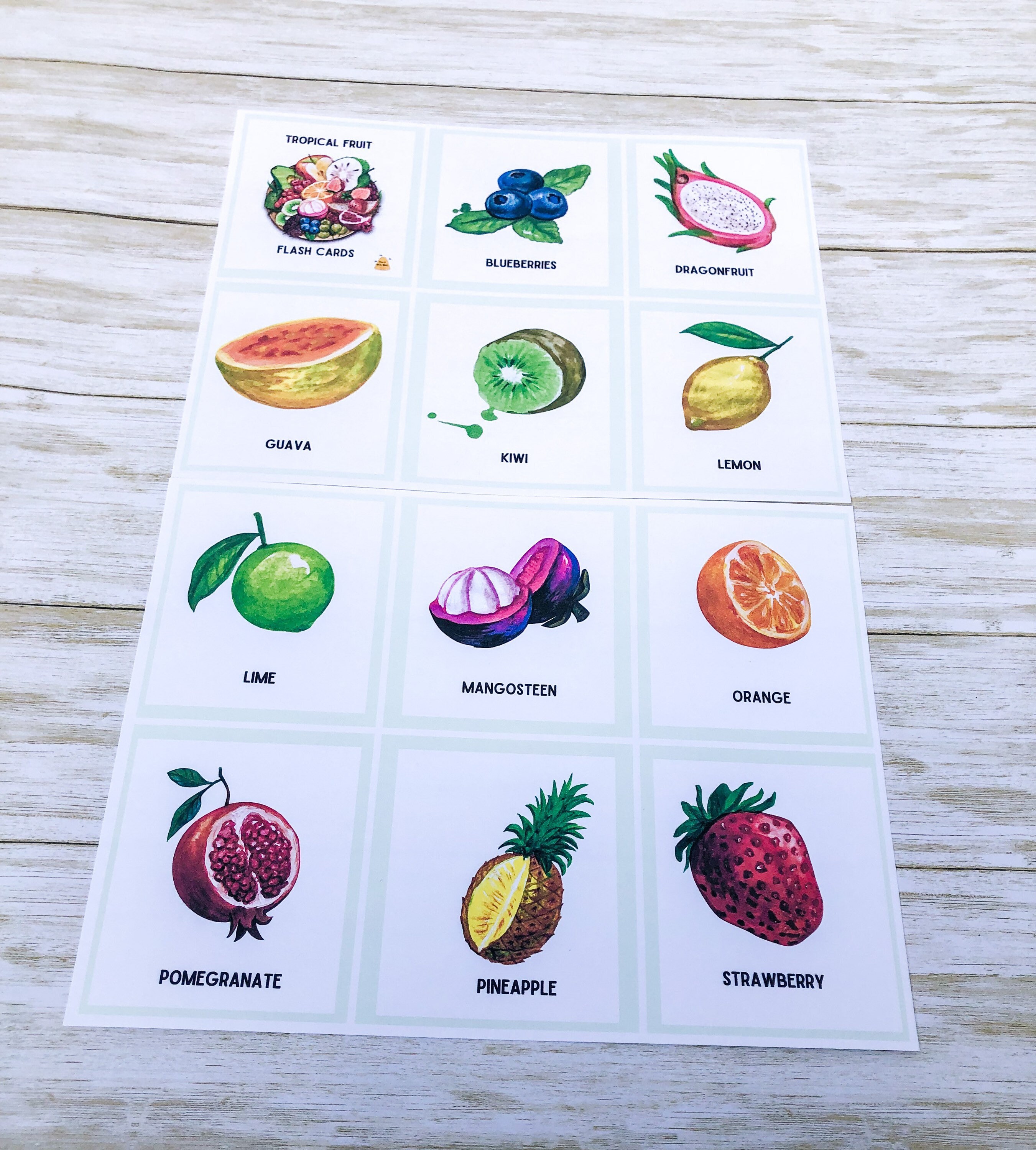 Tropical Fruit Flash Cards Montessori Printable - Etsy