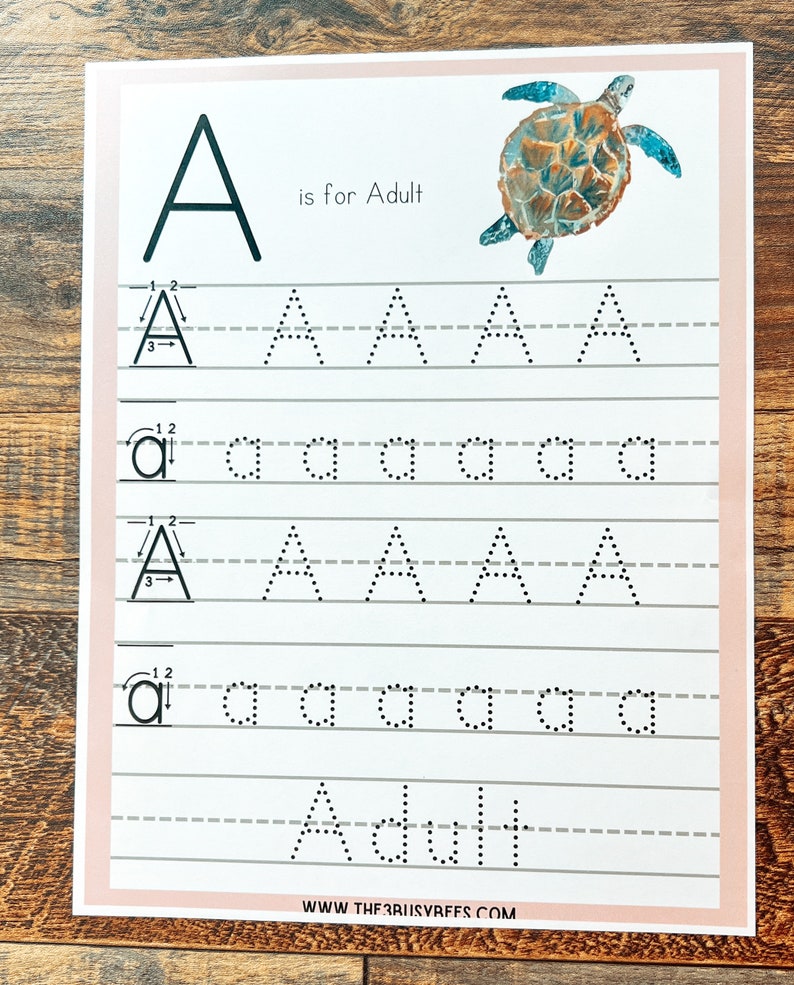 Life Cycle of a Sea Turtle Letter and Word Tracing / Handwriting ...