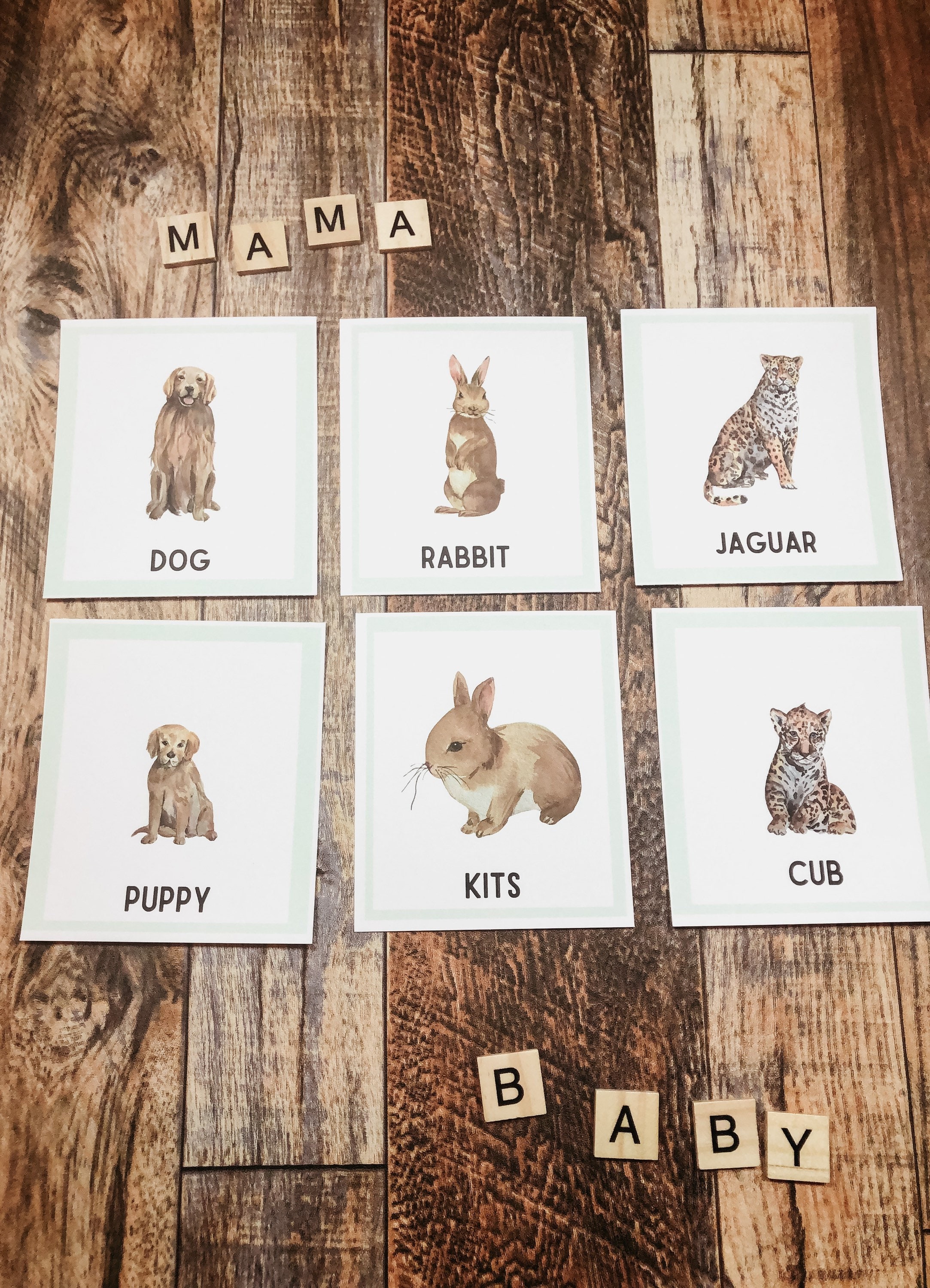 Mama and Baby Animal Flash Cards Montessori Printable Educational ...
