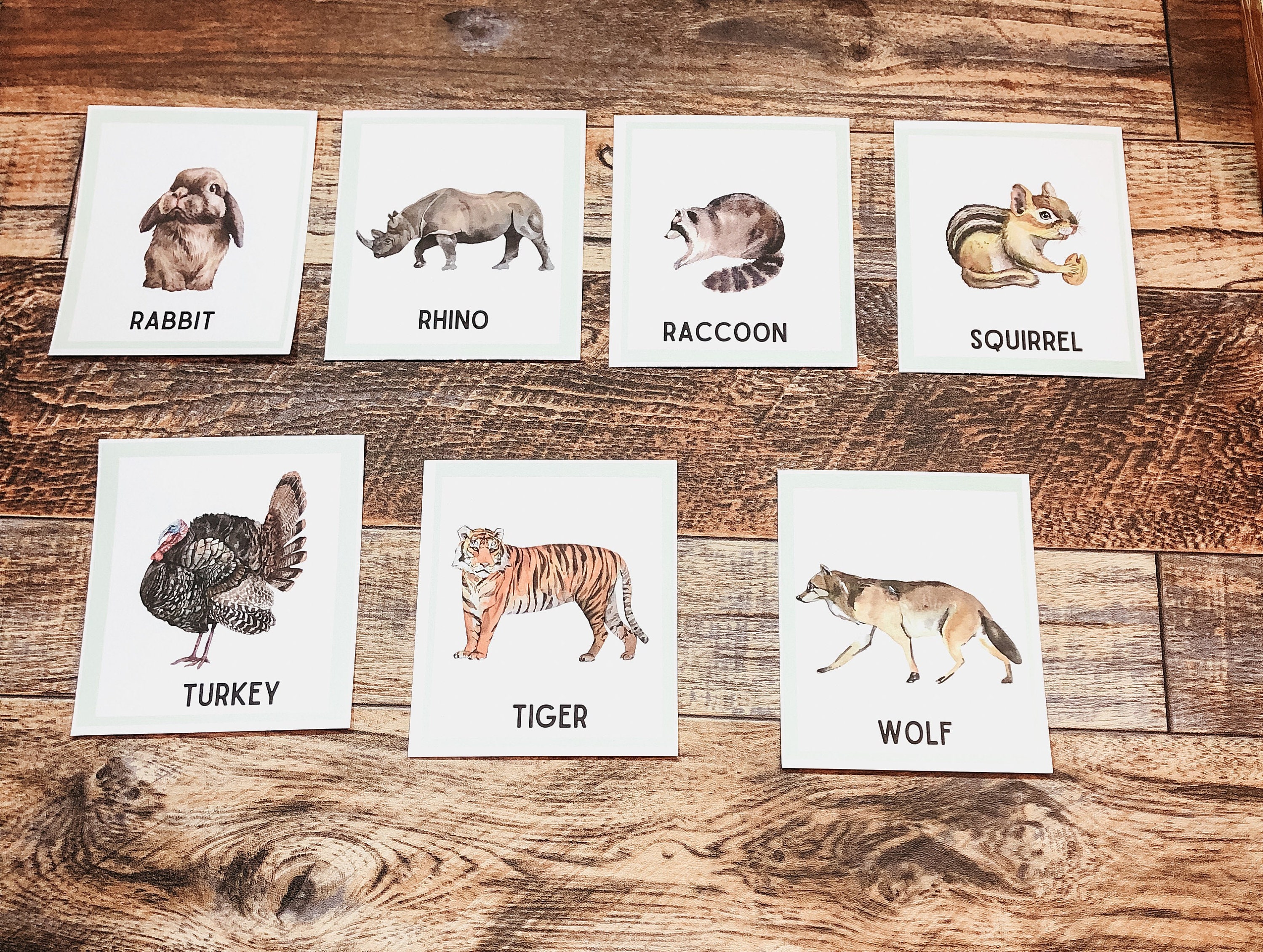 Animal Flash Cards Montessori Printable Educational Material - Etsy